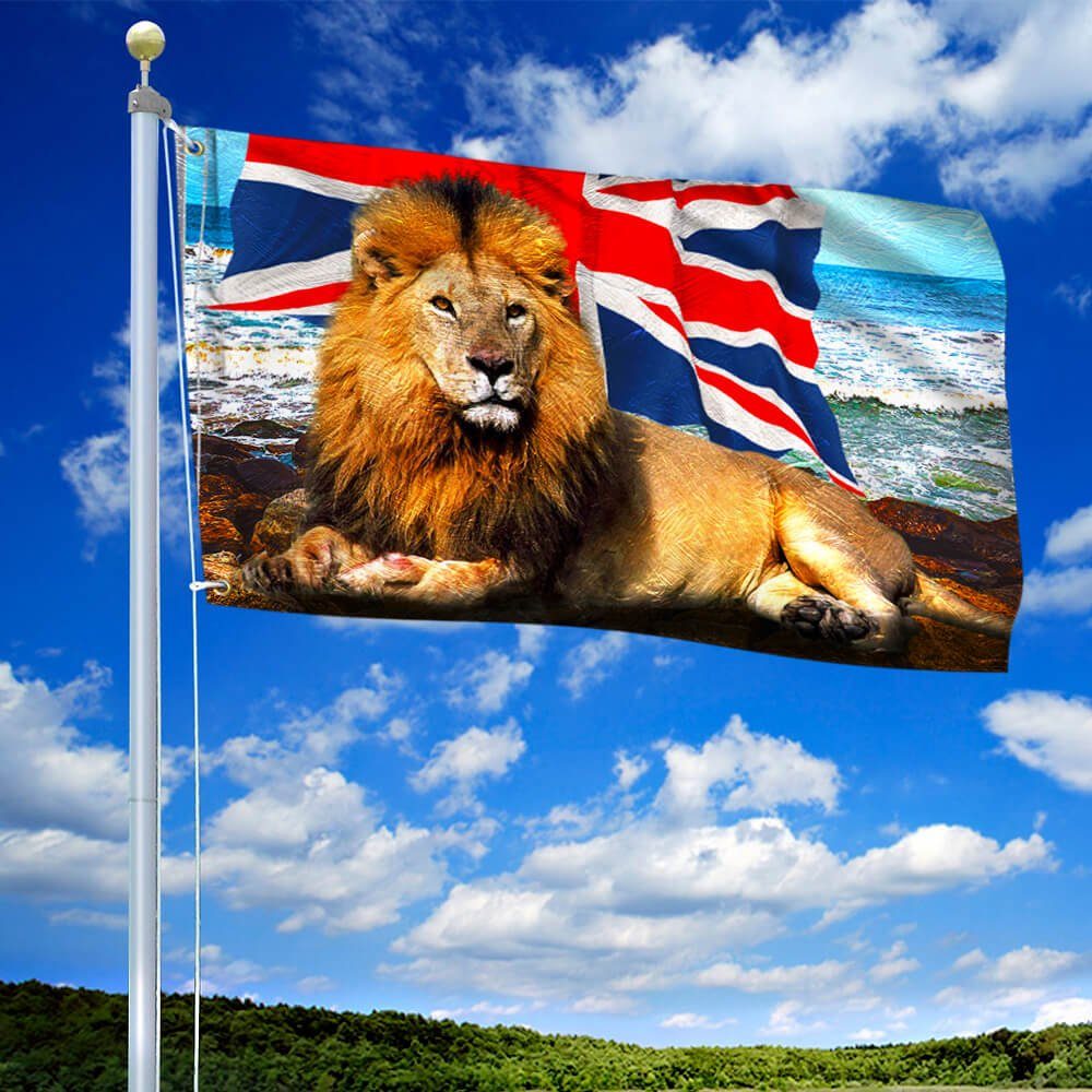 Lion UK Grommet Flag Born To Be A King NTT98GF – Flagwix
