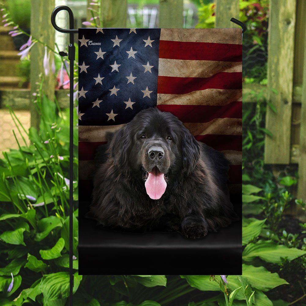 Newfoundland Dog American Flag – Flagwix