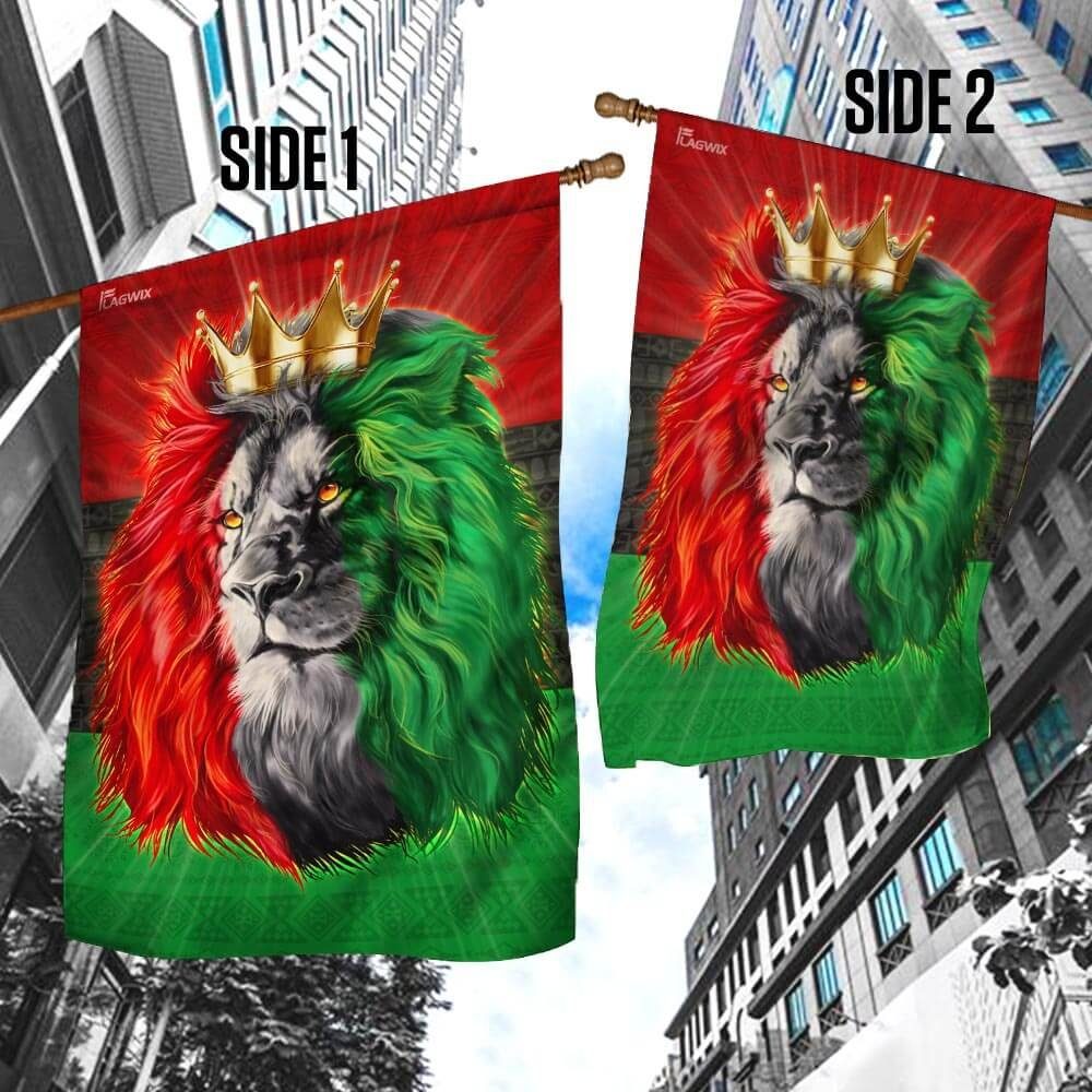 Rasta Lion. Pan African Flag - Flagwix
