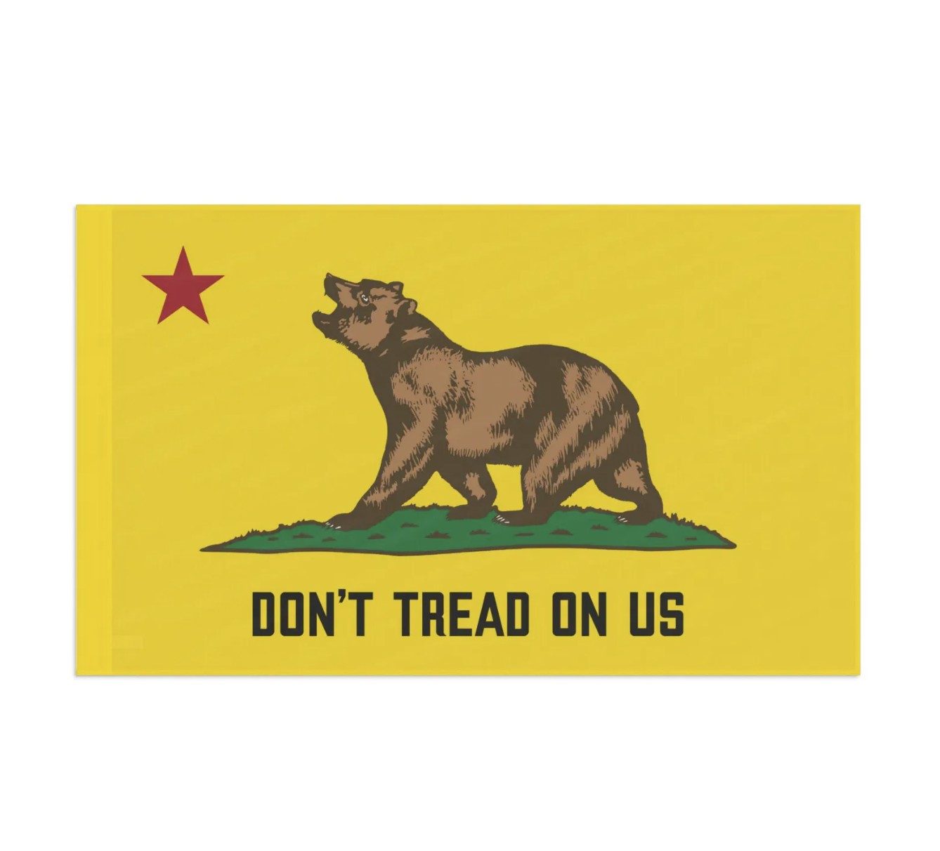 California Flag Roaring Bear Protest Against ICE Flag – Flagwix